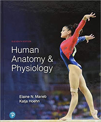 Human Anatomy And Physiology Eleventh Ed 11e 11th Edition PDF